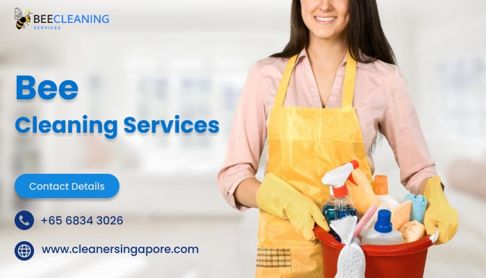 Top 10 Best Cleaning Companies in Singapore - cleanersingapore