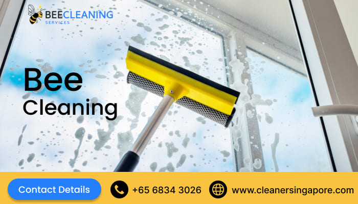 Best Window Cleaning Companies in Singapore
