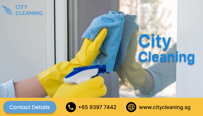 Best Window Cleaning Companies in Singapore